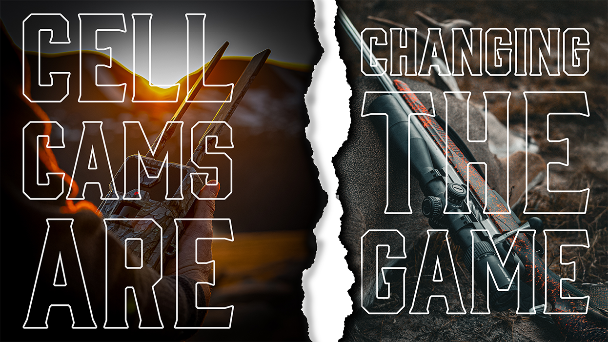 How Cell Cameras Are Rewriting Modern Hunting - Wise Eye Data Cam