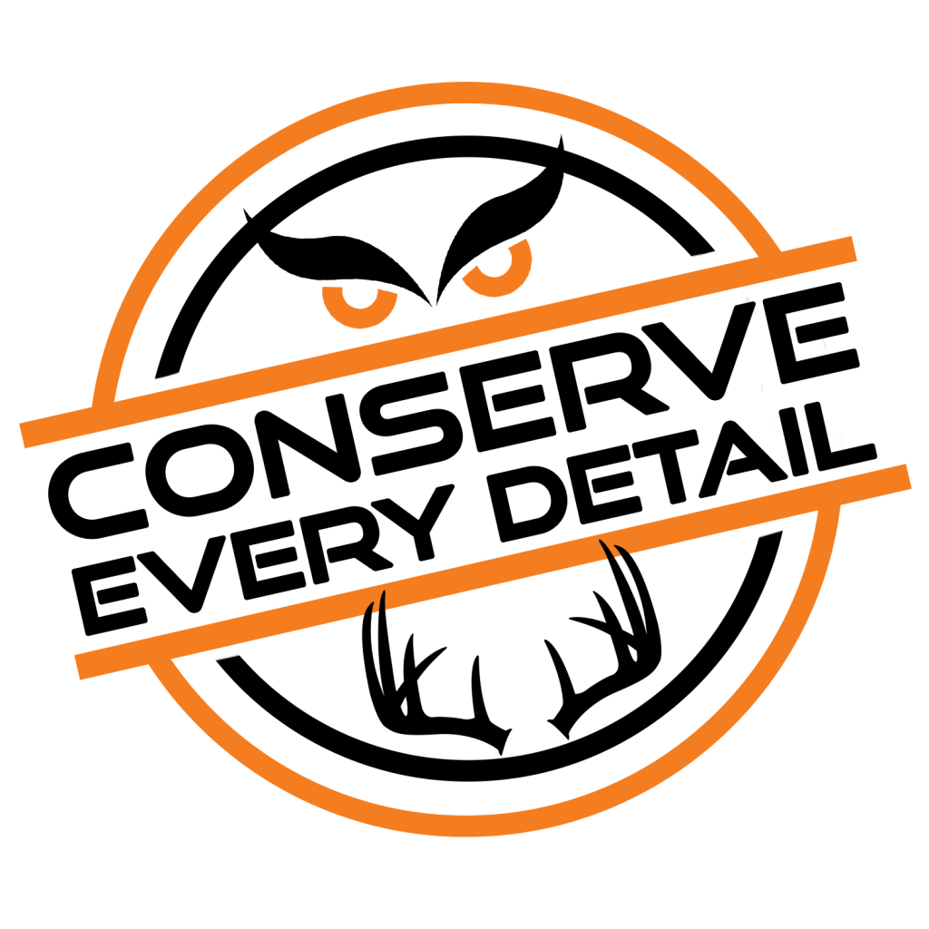 Conserve Every Detail - Wise Eye Data Cam